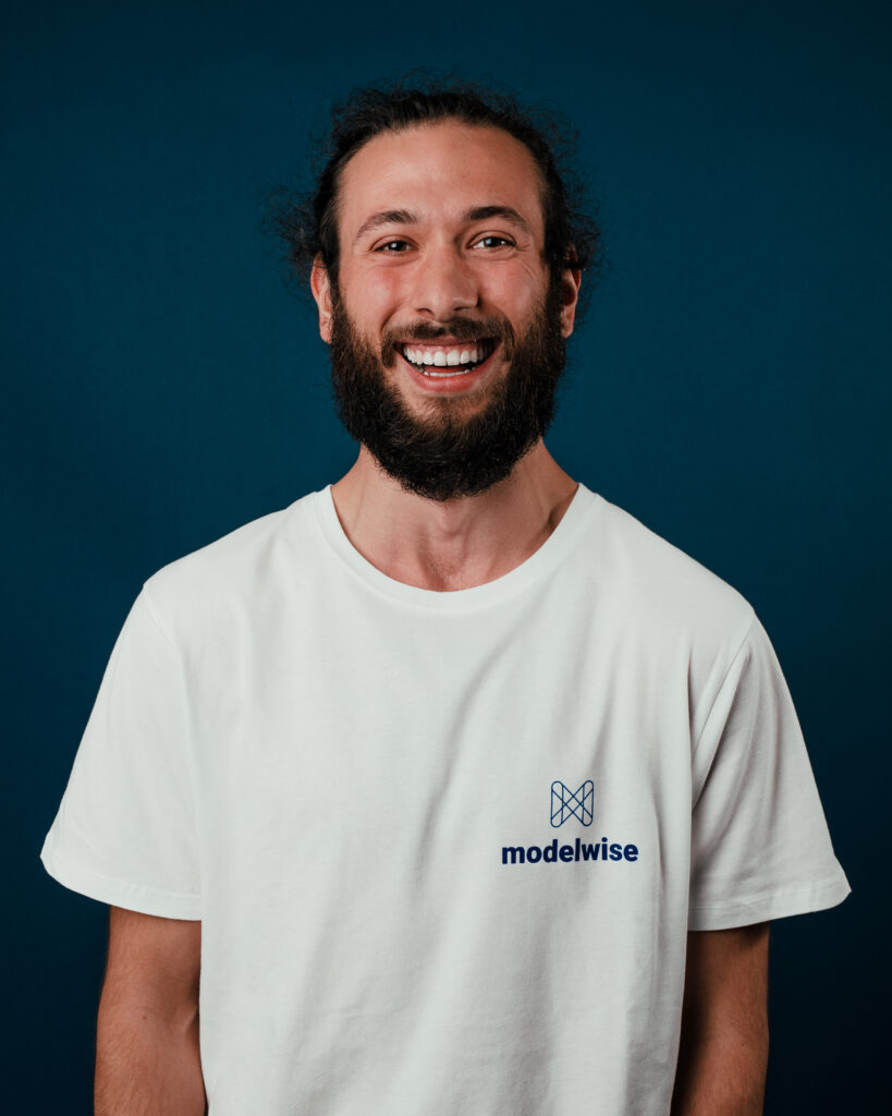 We Are Modelwise: Revolutionizing Functional Safety with AI