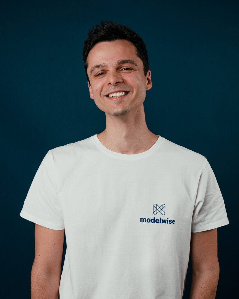 We Are Modelwise: Revolutionizing Functional Safety with AI