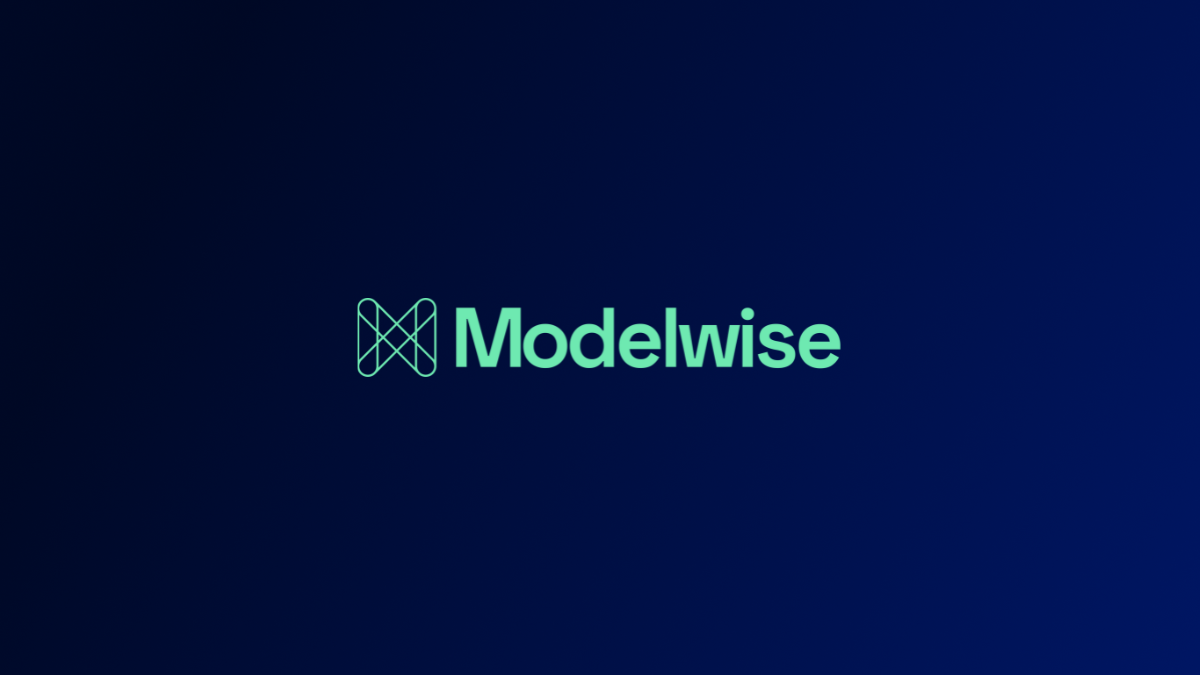 Case-studies Archive | Modelwise